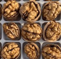 China Top quality Thin-skin paper shell Walnut 185 with shell in bulk wholesale from China Amazon’s best-selling products for sale