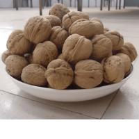 China Top quality Thin-skin paper shell Walnut 185 with shell in bulk wholesale from China Amazon’s best-selling products for sale