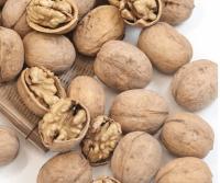China Walnut wholesale price paper shell walnut thin shell Xinjiang walnut washed 185 walnut for sale