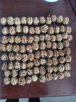 China Walnut wholesale price paper shell walnut thin shell Xinjiang walnut washed 185 walnut for sale