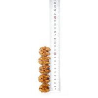 China wholesale years Best Price Top Grade Dried Style Raw Walnut Kernels Amazon’s best-selling products for sale