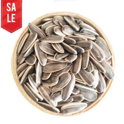 China High Grade New Crop Inner Mongolia Premium Quality Organic Bulk Large Sunflower Seeds for Sale for sale