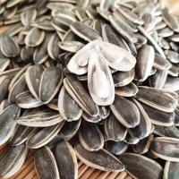 China Versatile Sunburst Field Nuts for Various Industrial Applications for sale