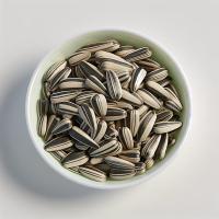 China Sunflower seeds in shell Sunflower Seeds 5009 Dried raw sunflower seed kernels for sale for sale