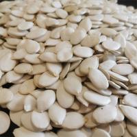 China Top grade Snow White Pumpkin Seeds with Moisture 7%max for sale