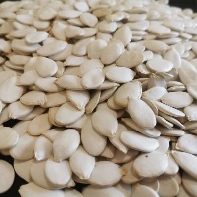 China Top grade Snow White Pumpkin Seeds with Moisture 7%max for sale