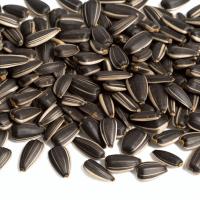 China wholesale Dried Sunflower Seeds Factory Direct raw Wholesale T6 Sunflower Seeds for sale