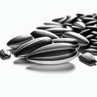 China Sunflower seeds in shell Sunflower Seeds 5009 Dried raw sunflower seed kernels for sale for sale
