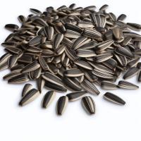 China Sunflower seeds in shell Sunflower Seeds 5009 Dried raw sunflower seed kernels for sale for sale