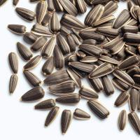 China wholesale Dried Sunflower Seeds Factory Direct raw Wholesale T6 Sunflower Seeds for sale
