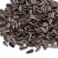 China wholesale Dried Sunflower Seeds Factory Direct raw Wholesale T6 Sunflower Seeds for sale