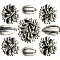 China Sunflower seeds in shell Sunflower Seeds 5009 Dried raw sunflower seed kernels for sale for sale
