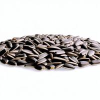 China Sunflower seeds in shell Sunflower Seeds 5009 Dried raw sunflower seed kernels for sale for sale