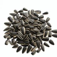 China Sunflower seeds in shell Sunflower Seeds 5009 Dried raw sunflower seed kernels for sale for sale