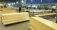 China Nano Sheet 3D Insulated Slat Wood Indoor Interior PVC Decorate WPC Wall Panel Panels Walls WPC for sale