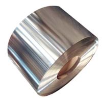 China MR SPCC Electrolytic Tin Plate DR T1 T5 JIS 3303 0.12mm 1.00mm Tin Coated Steel Sheet for sale