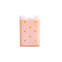 China Temperature Control And Cooling PCM ice pack suitable for in temperature controlled shipping containers and packaging solutions for sale