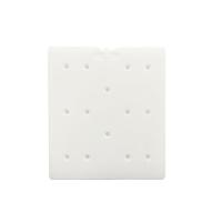 China Reusable Non-Toxic PCM Ice Pack for Precise Temperature Control in Coolers for sale