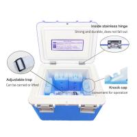 China 10L Insulated Medicine Transport Box with Long-Lasting Cooling Performance for Healthcare Use for sale