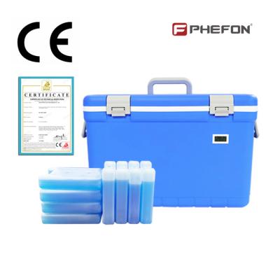 China Best Cooler with Temperature Display External Dimensions 570*305*365mm for sale