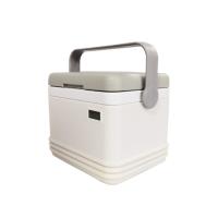 China Lightweight Compact Insulated Cooler Box, Portable Injection Molded Ice Chest, Slim Small Cooler with Carry Handle, Great Ice Retention, Airtight Lid for Camping, Picnic, Beach, Hiking, Day Trip, Drin for sale