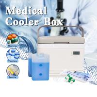 China Temperature Display Medical Cooler Box for Cold Chain Storage and Transportation for sale