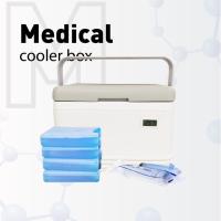China High-Performance Cooling White Color Cooler Box with Ice Packs 5L/8L for sale