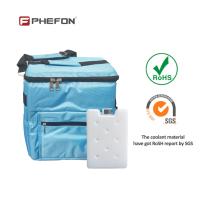 China Insulation 15 Ltr Medical Cooler Bag Chilled Ice Pack Vaccine Carrier for sale