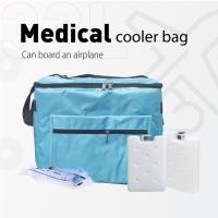 China Phefon Brand 15L /33L Soft Cooler Bag Vaccine Cold Bag  Lightweight And Easy To Carry for sale