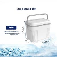 China Camping Plastic OEM Ice Chest Cooler Box White Best Cool Box Easy To Carry for sale