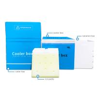 China Good Performance VIP+PU Insulation Cooler Box  Supply OEM Including Ice Pack for sale