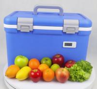 China Phefon FS-12L Cold Chain Box - 12L Polyurethane Foam Insulated Cooler for Outdoor Use for sale