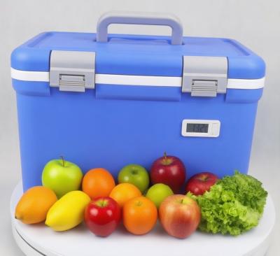 China Phefon FS-12L Cold Chain Box - 12L Polyurethane Foam Insulated Cooler for Outdoor Use for sale