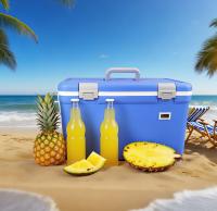 China 30L Plastic Ice Cooler Box for Camping and Outdoor Use for sale