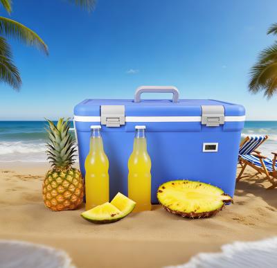 China 30L Plastic Ice Cooler Box for Camping and Outdoor Use for sale