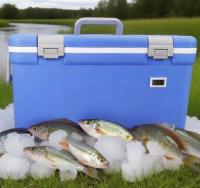 China 30L Ice Cooler Box for Camping, BBQ, and Picnic - 48h Cold Storage for sale