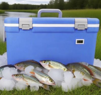 China 30L Ice Cooler Box for Camping, BBQ, and Picnic - 48h Cold Storage for sale