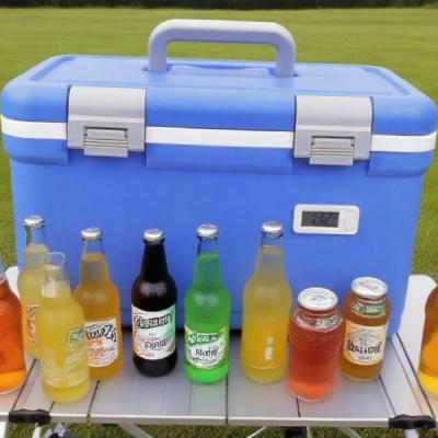 China Phefon FS-35L Ice Cooler Box with 72h Cold Storage for Camping & Outdoor for sale