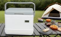 China Phefon Portable Ice Cooler Box for Camping Picnic BBQ 12h Cold Storage for sale