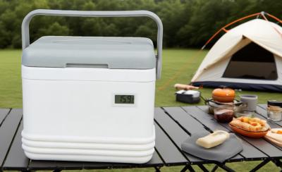 China Phefon Portable Ice Cooler Box for Camping Picnic BBQ 12h Cold Storage for sale
