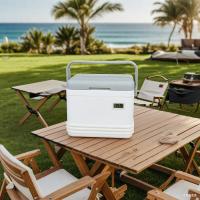 China Phefon 4.5L Portable Ice Cooler Box for Camping and Picnics for sale