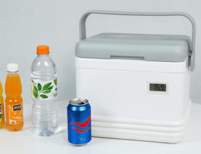 China Portable Ice Cooler Box 1.6KG for Camping Picnic BBQ 12h Cold Storage for sale