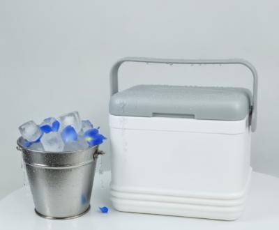 China Phefon 4.5L Ice Cooler Box for Camping and Picnics for sale