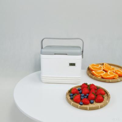 China Phefon FS-5L Ice Cooler Box with Ice Packs for Camping and Picnics for sale