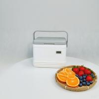 China Portable Ice Cooler Box 220x160x160mm with Ice Packs -25°C to 25°C for sale