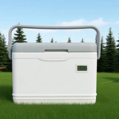 China Portable Ice Cooler Box for Camping with 12h Cold Retention for sale