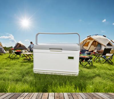 China Phefon 8L Insulated Cooler Box for Camping and Picnics for sale