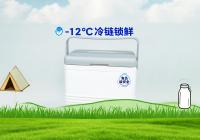 China Phefon 8L Portable Ice Cooler Box for Camping and Picnics for sale