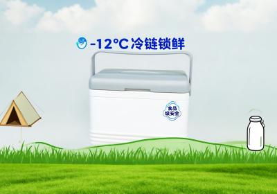 China Phefon 8L Portable Ice Cooler Box for Camping and Picnics for sale