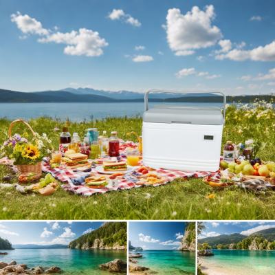 China 8L Portable Ice Cooler Box for Camping Picnics Outdoor FS-8L for sale
